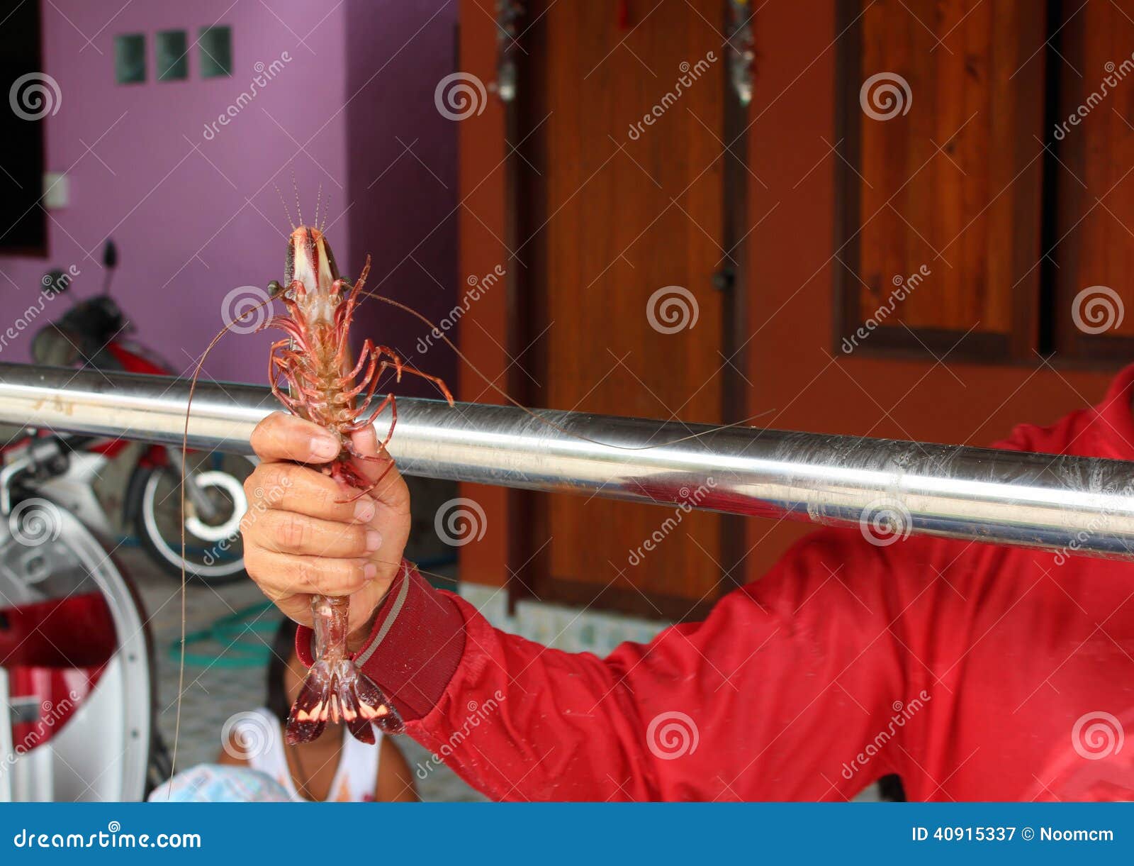 Big prawn in hand stock image. Image of large, ingredient - 40915337