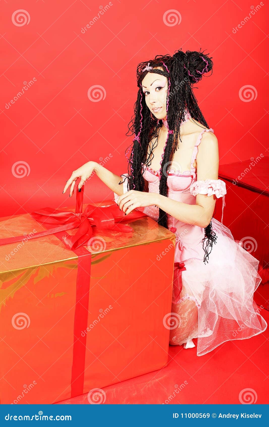 Big present stock image. Image of present, style, dreadlocks - 11000569