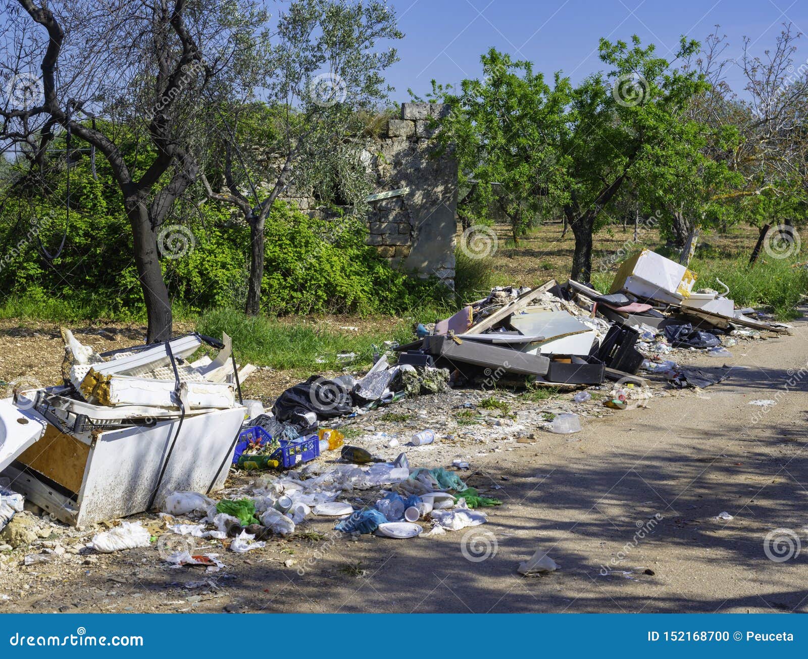 Big Problem of Environmental Degradation. Plastic Waste, Non ...