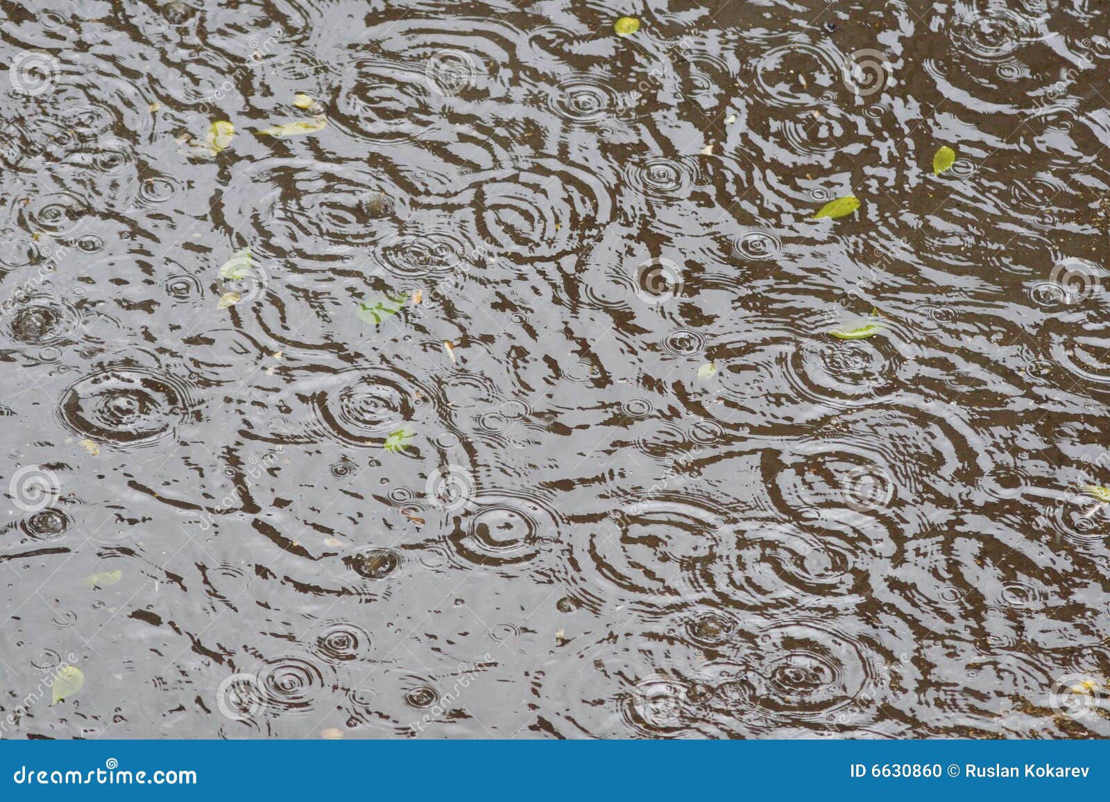 Big puddle. stock photo. Image of pool, drizzle, yellow - 6630860