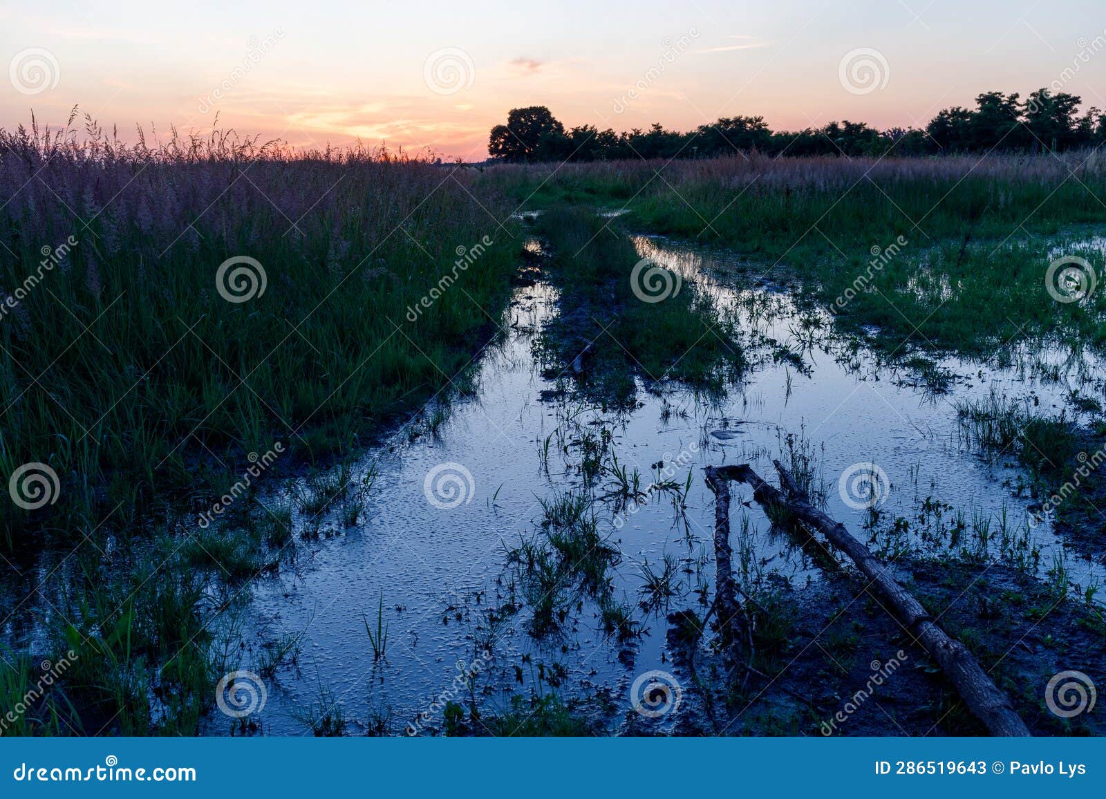 A Big Puddle and a Bad Road Stock Image - Image of countryside, rough ...