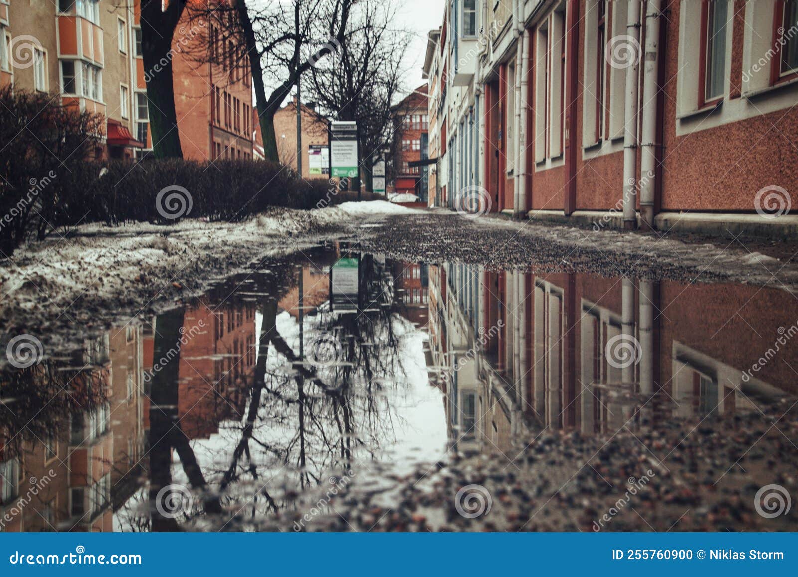 Big Puddle on City Street during Winter Stock Photo - Image of street ...