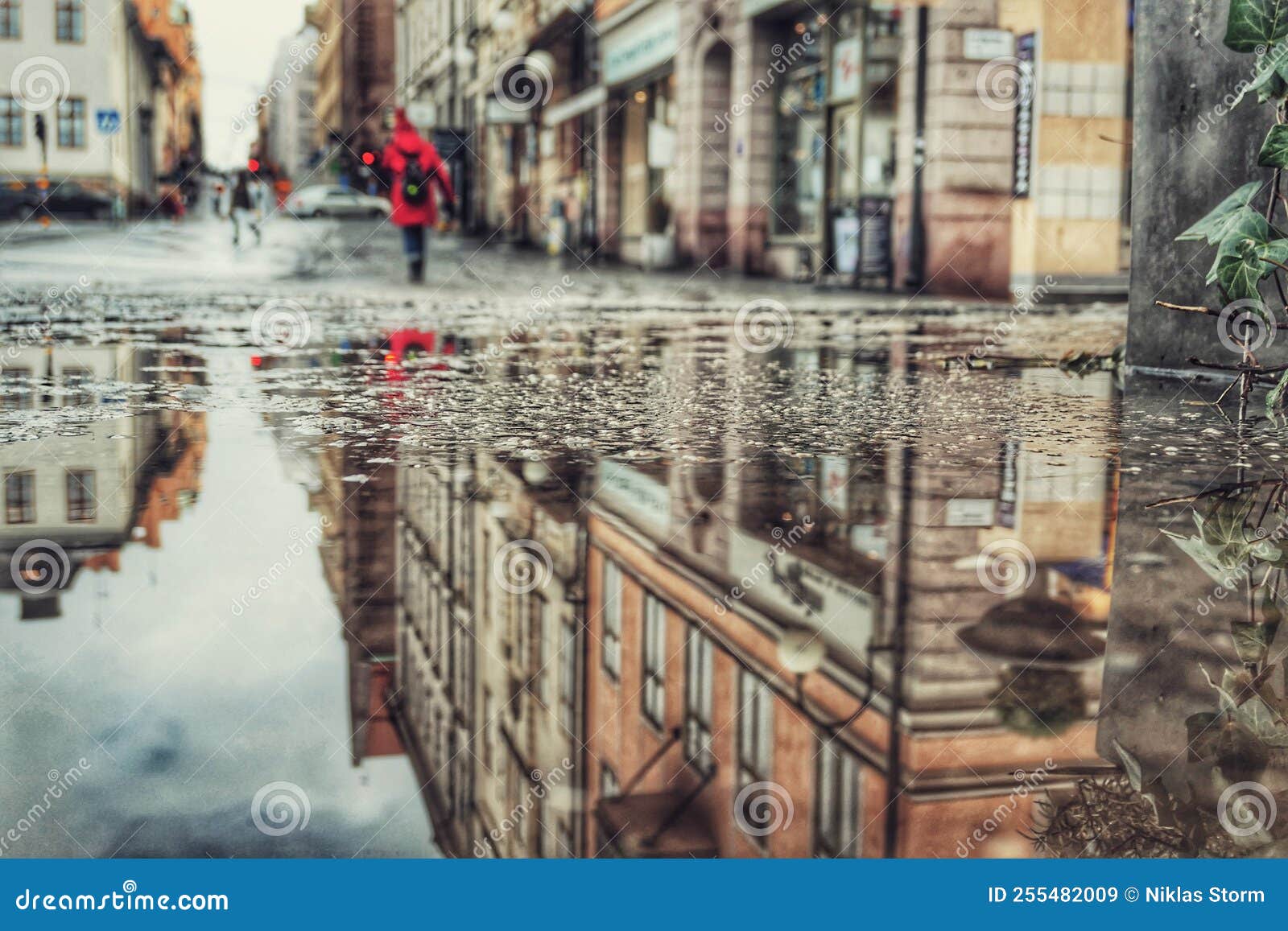 Big Puddle in City during Winter Stock Image - Image of road ...