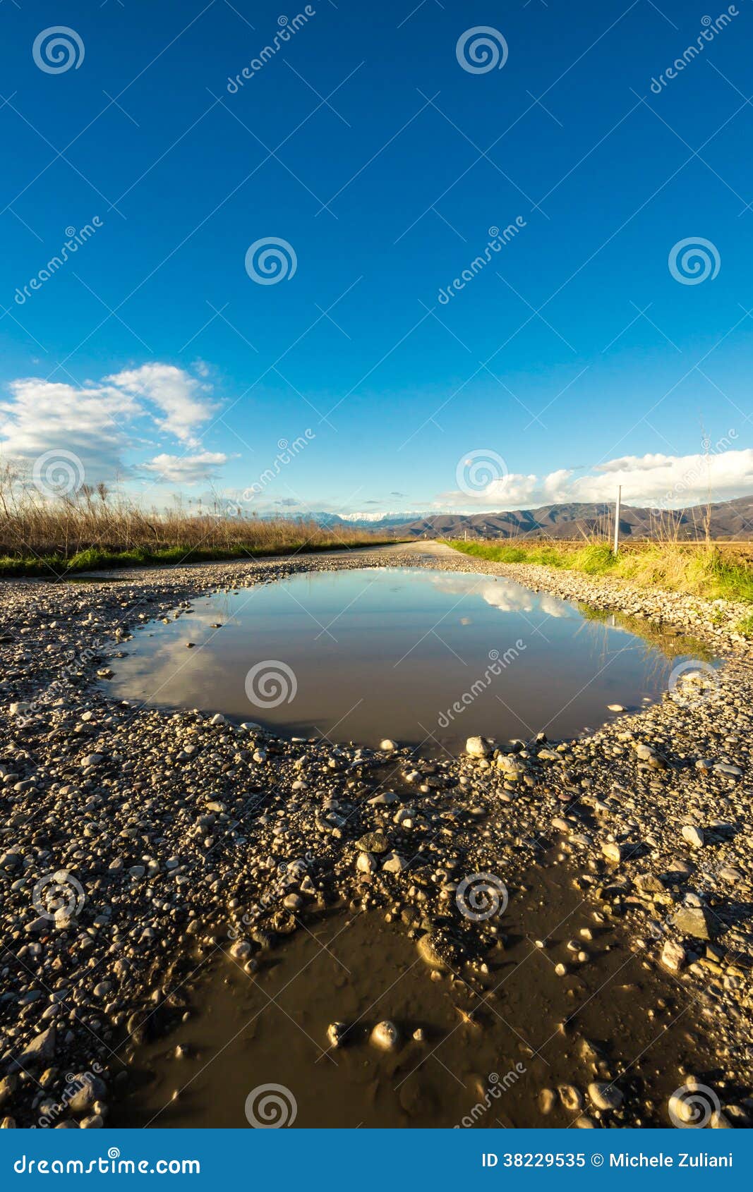 Big puddle in the country stock image. Image of health - 38229535