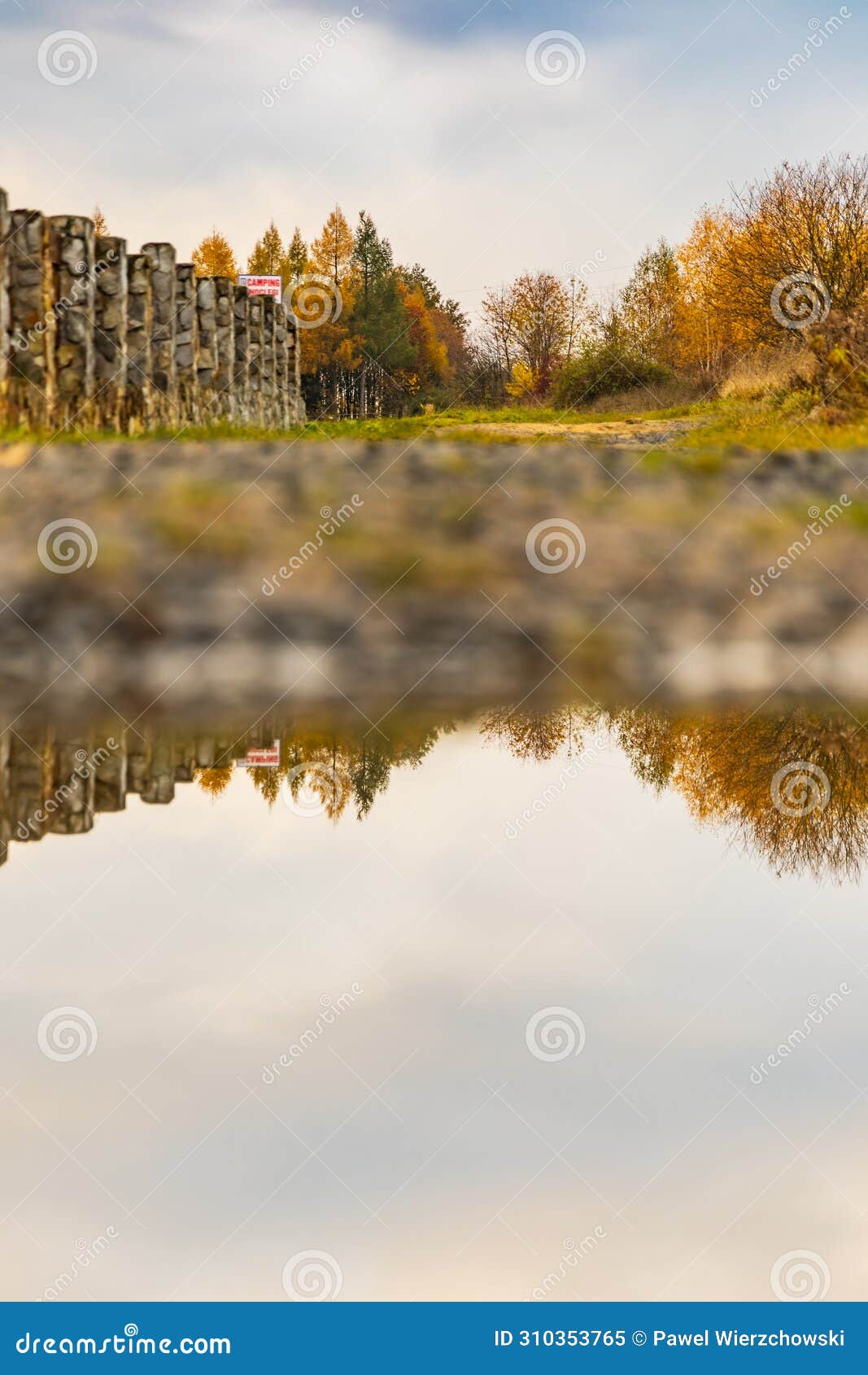 Big Puddle in the Middle of Path with Trees and Bushes Around ...