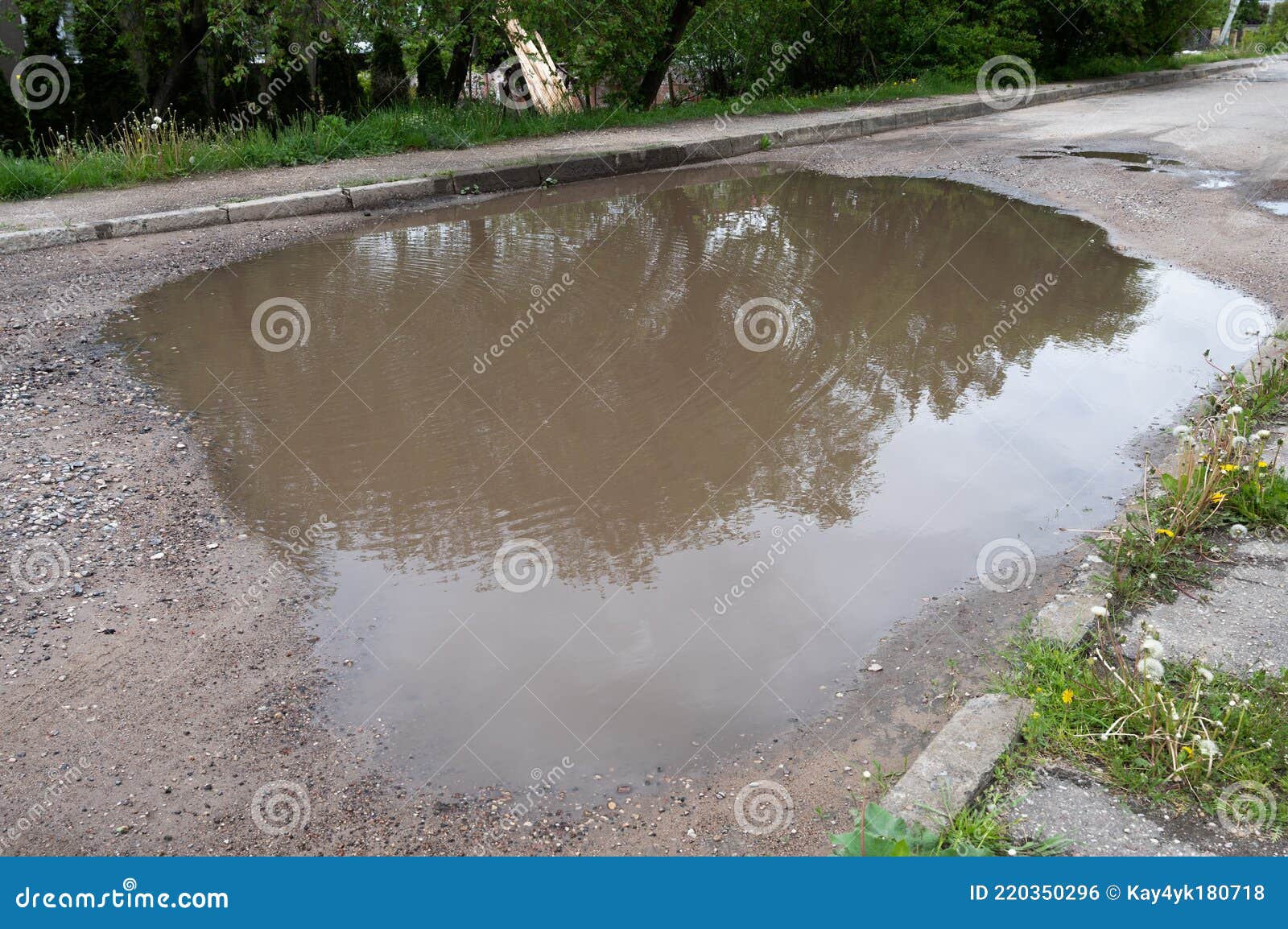 Big puddle on the road stock photo. Image of danger - 220350296