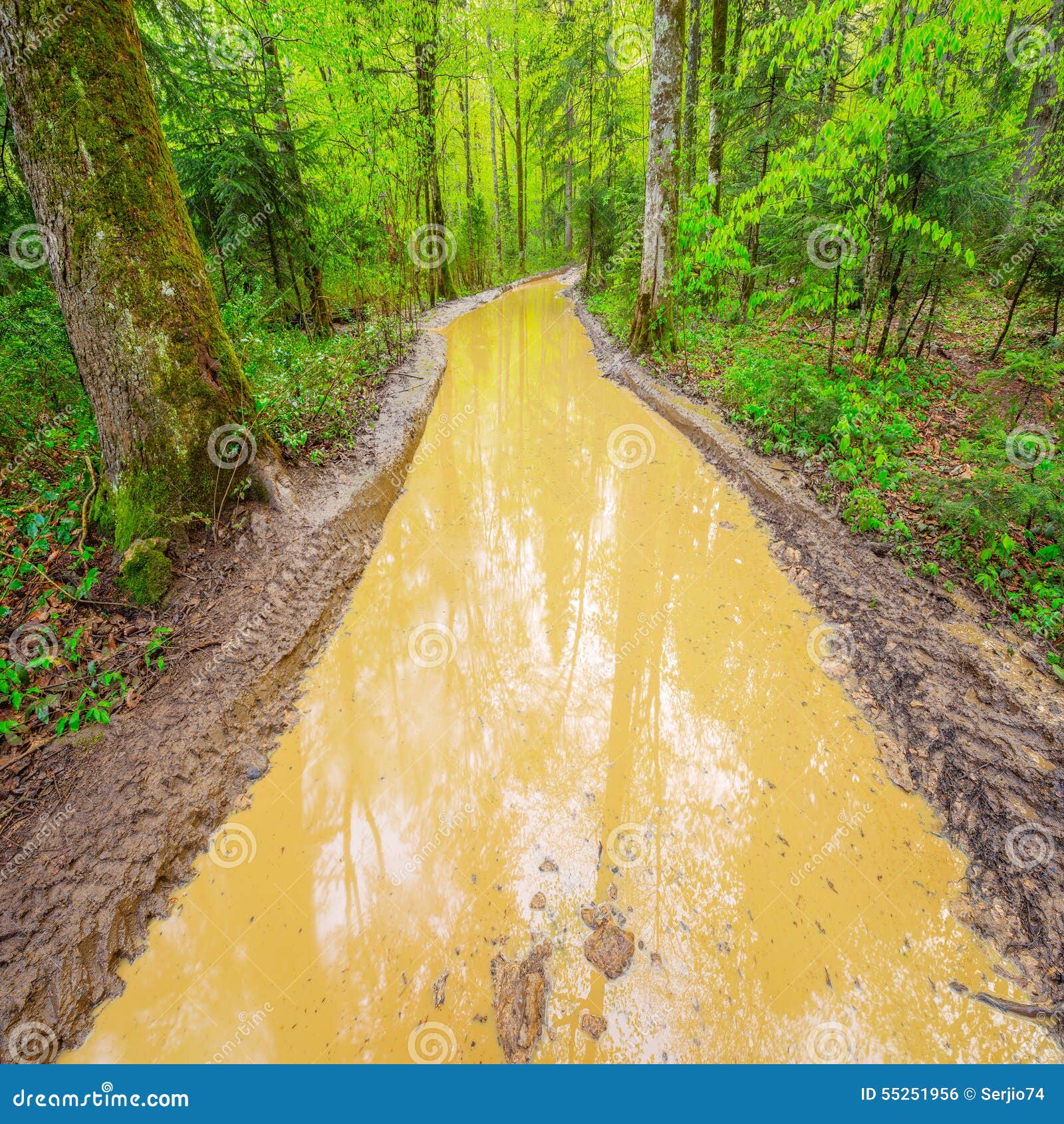 Big puddle on the road. stock photo. Image of grass, clay - 55251956