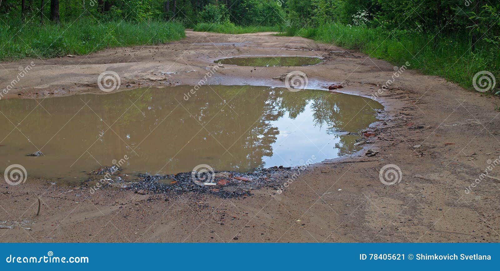 Big Puddle on the Road in the Woods Stock Image - Image of large, dirty ...
