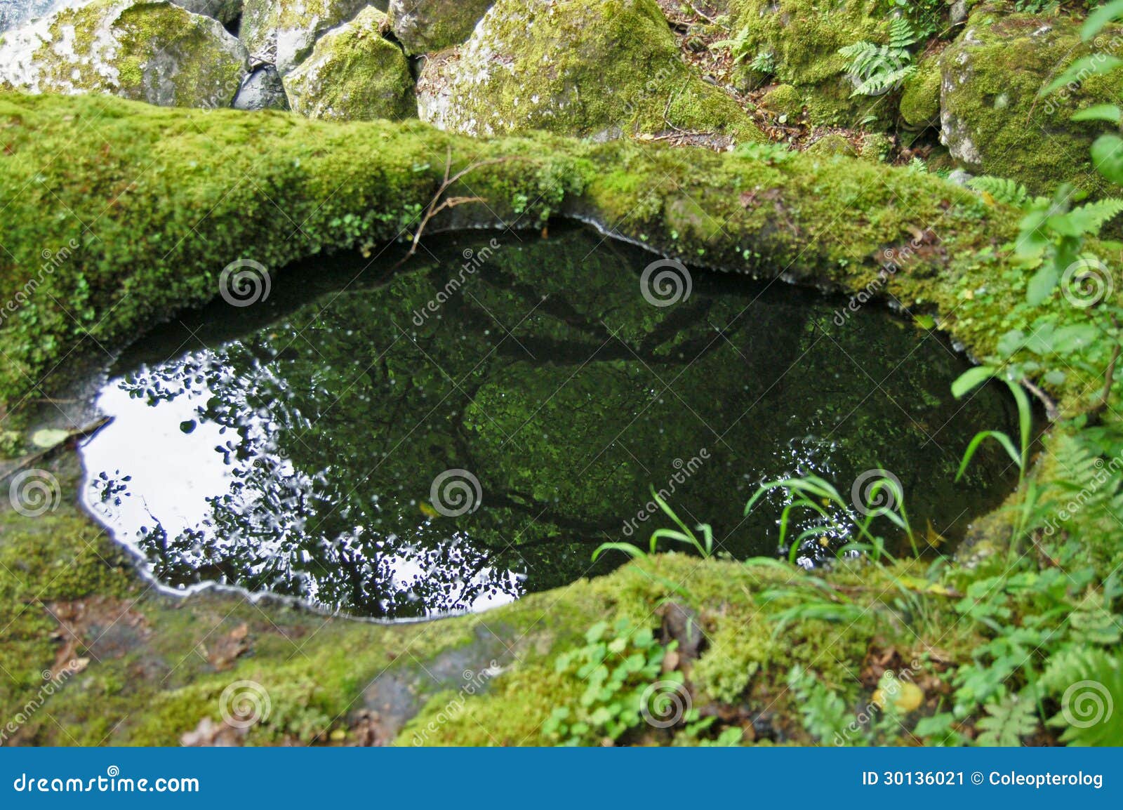Dark puddle stock image. Image of pool, boulders, rocks - 30136021