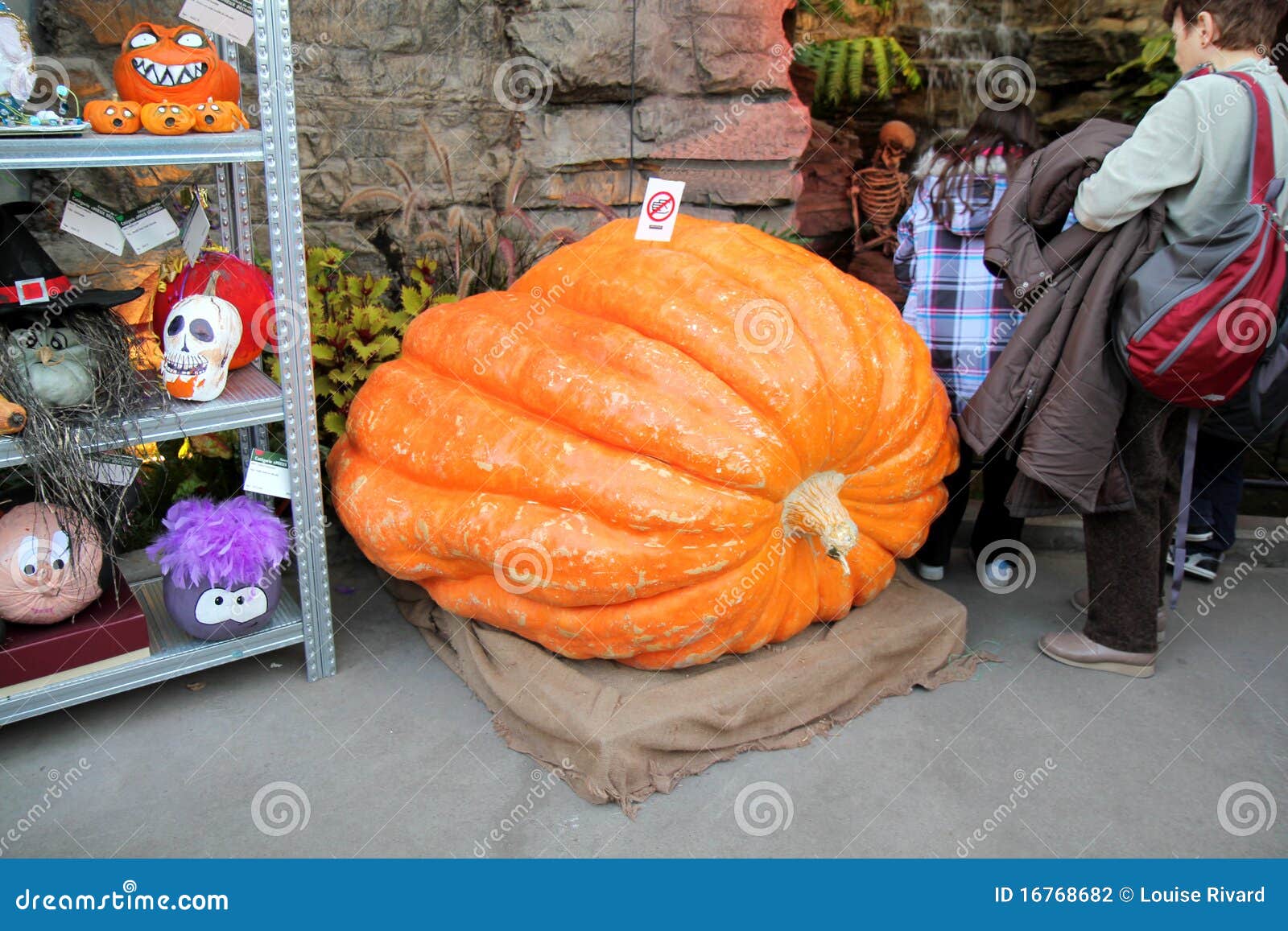 Big pumpkin! editorial photography. Image of crop, garden - 16768682