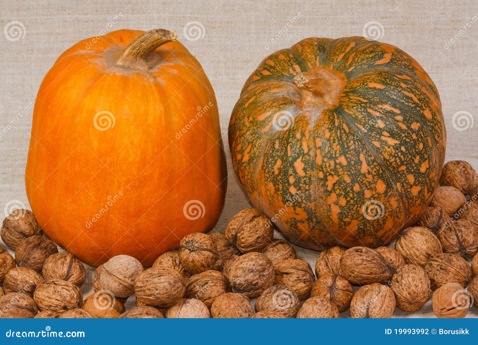 The big pumpkin and nuts stock photo. Image of crop, health - 19993992