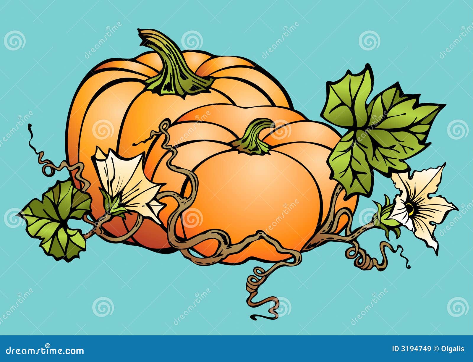 Big pumpkins stock vector. Illustration of crop, halloween - 3194749