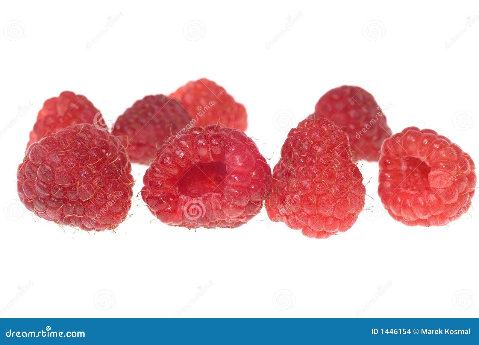 Big raspberry stock photo. Image of tasty, close, plant - 1446154
