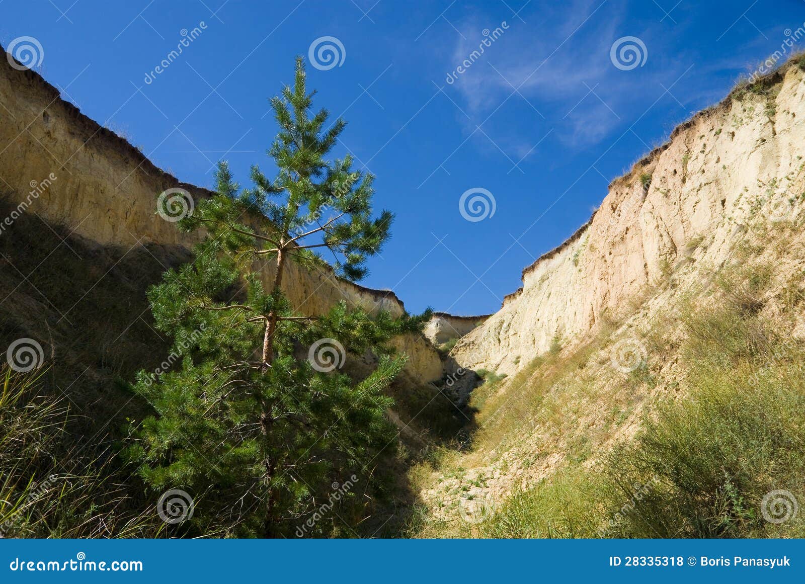 Big ravine stock photo. Image of grass, sand, cliffs - 28335318