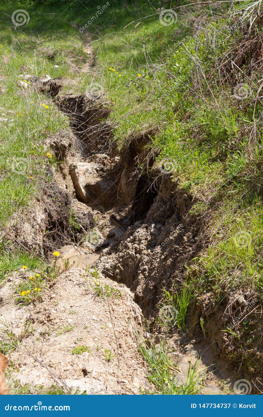 Big ravine road stock image. Image of daylight, outdoor - 147734737