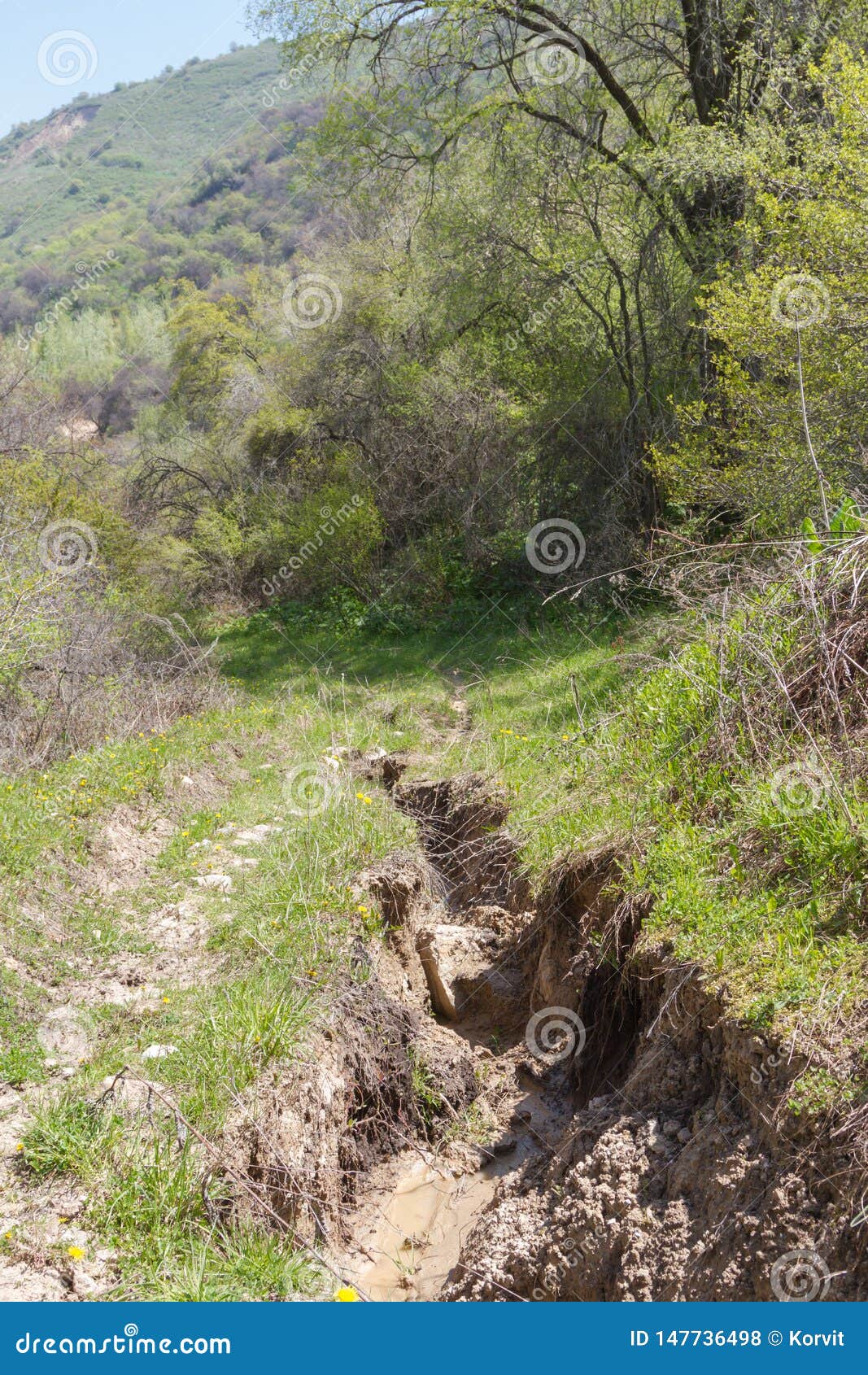 Big ravine road stock photo. Image of grass, nature - 147736498