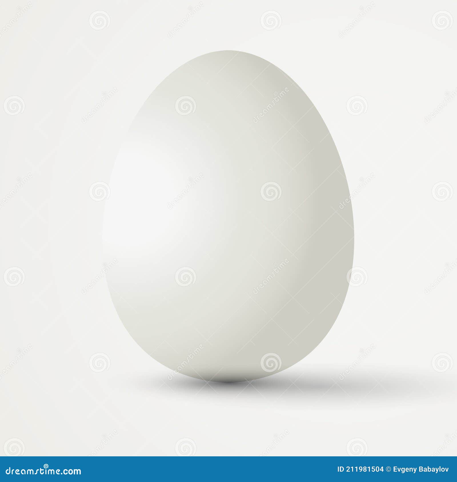 Big Realistic White Chicken Egg with Shadow on White Background ...