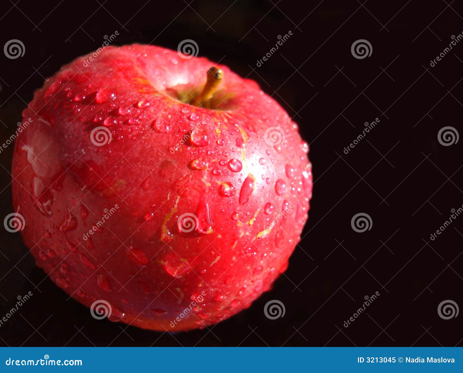 Big red apple stock image. Image of drop, crop, freshness - 3213045