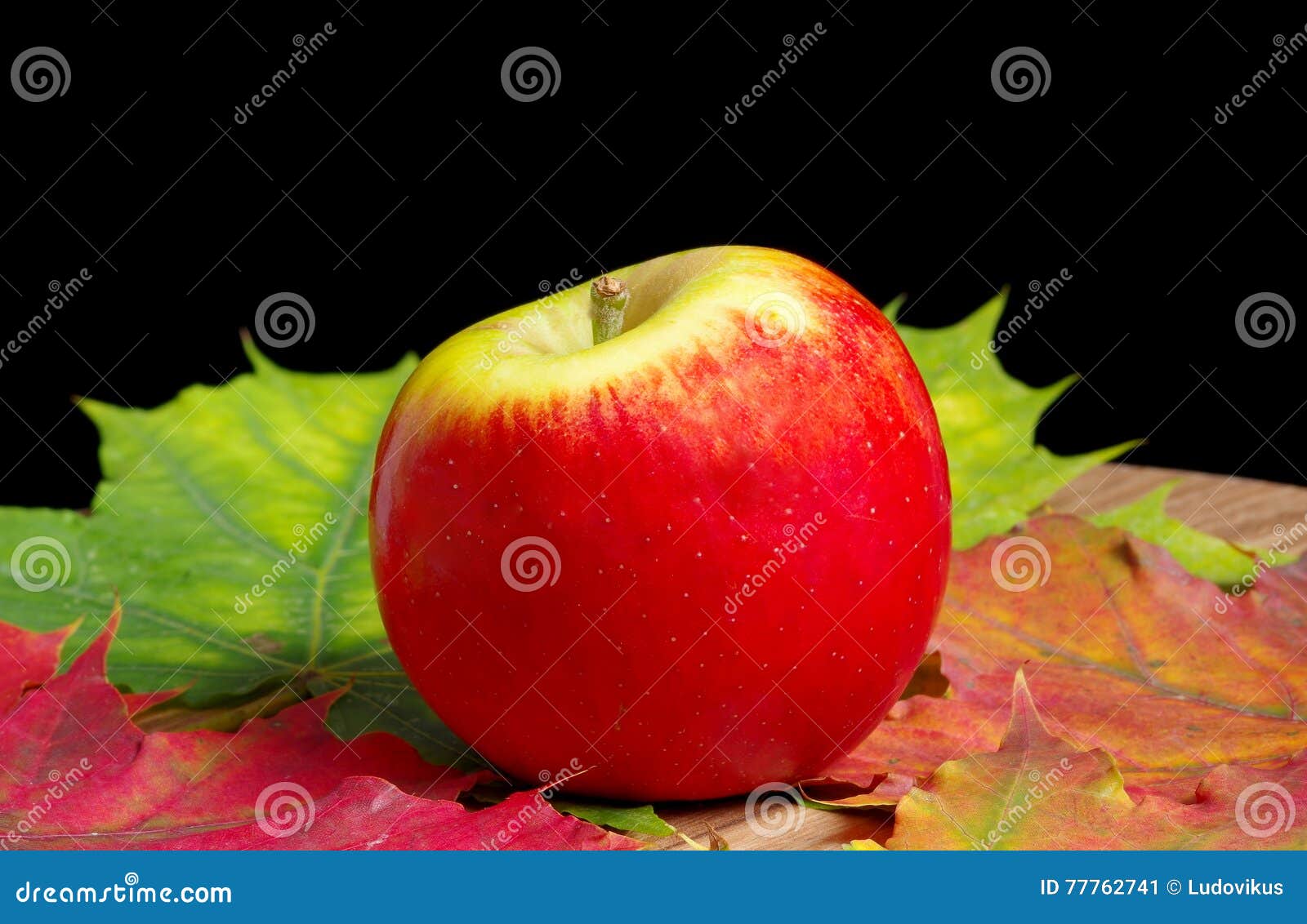 Big red Apple stock image. Image of fruit, health, healthy - 77762741