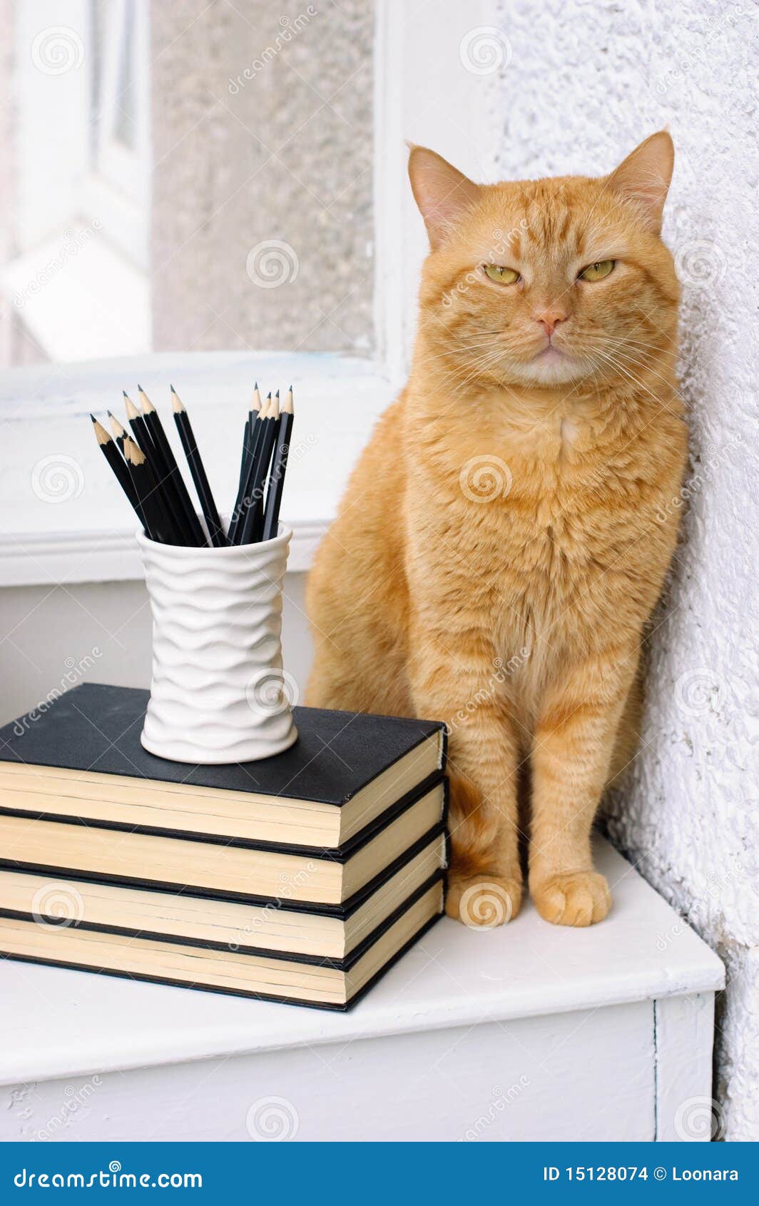 831 Fat Cat Table Stock Photos - Free & Royalty-Free Stock Photos from ...