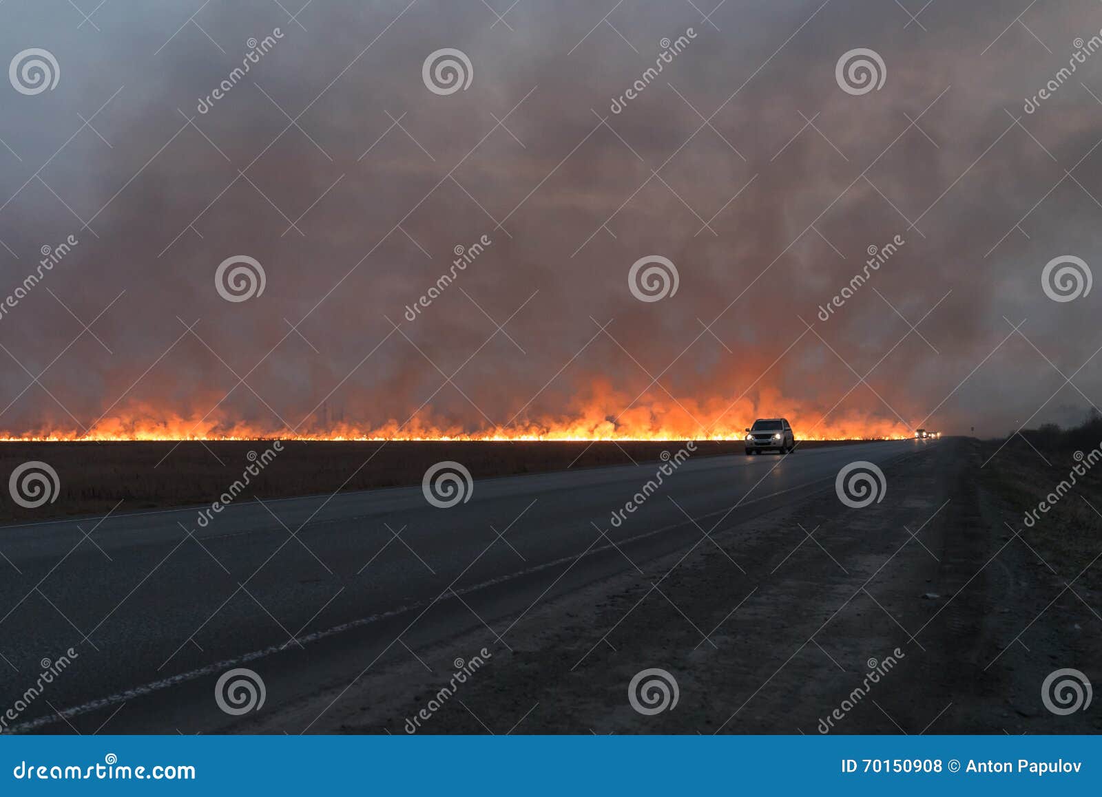 Big Red Fire in the Dry Grass Field Stock Photo - Image of disaster ...