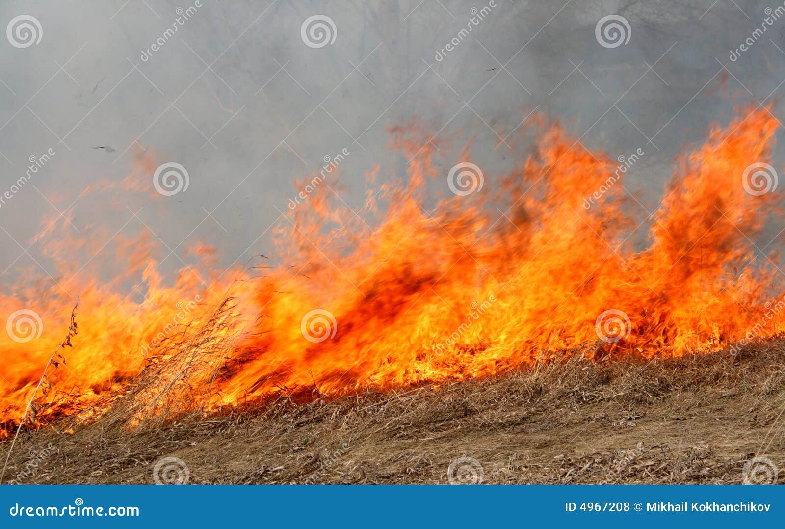 Big red fire in field stock photo. Image of wilderness - 4967208