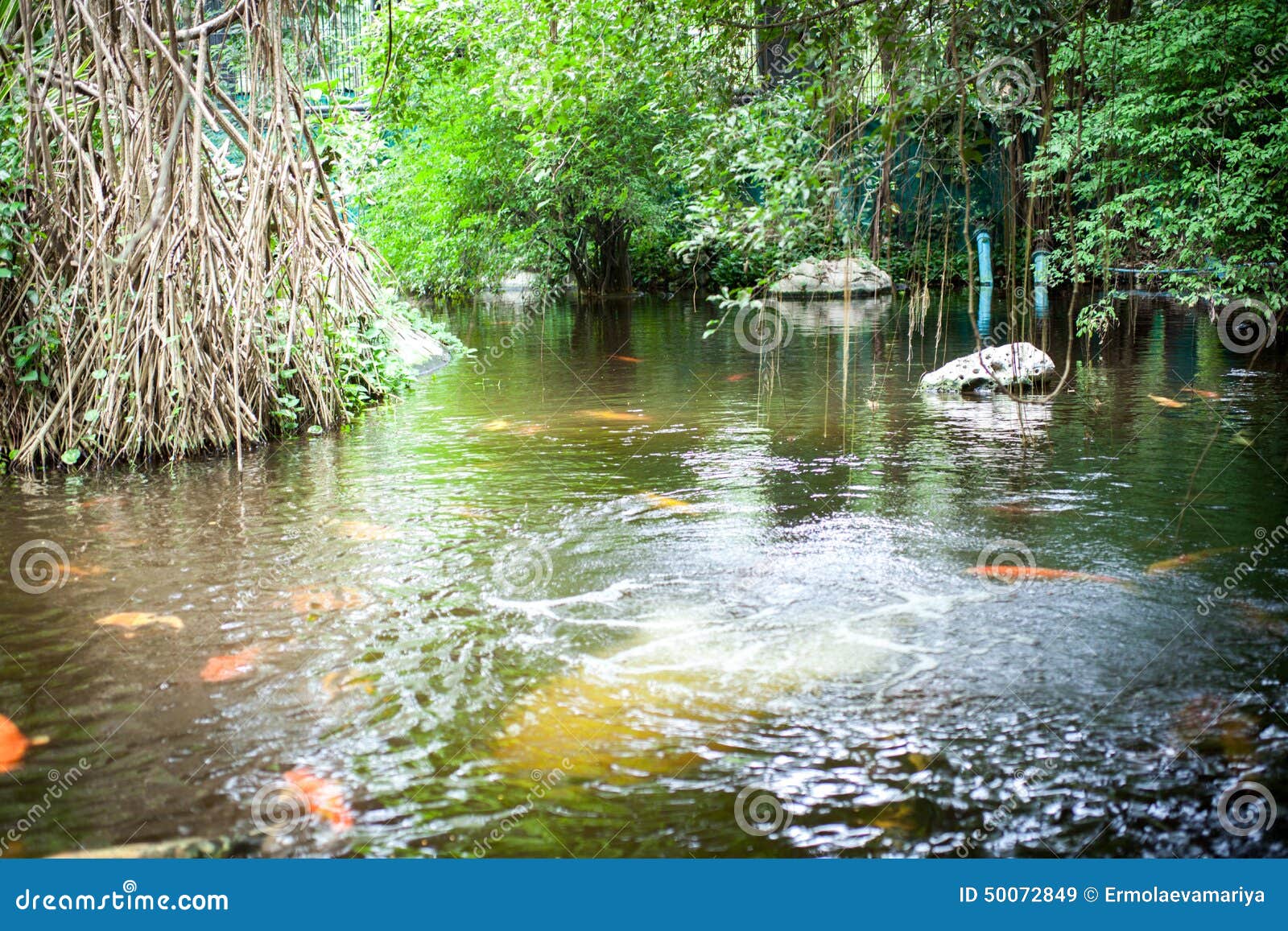 Big Red Fish in a Park at Jungle Forest Stock Image - Image of hawaii ...