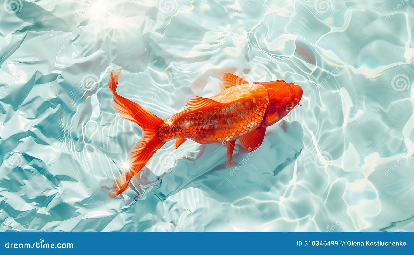 Big Red Fish on the Sparkling White Water. Beautiful Curves, Sunlight ...