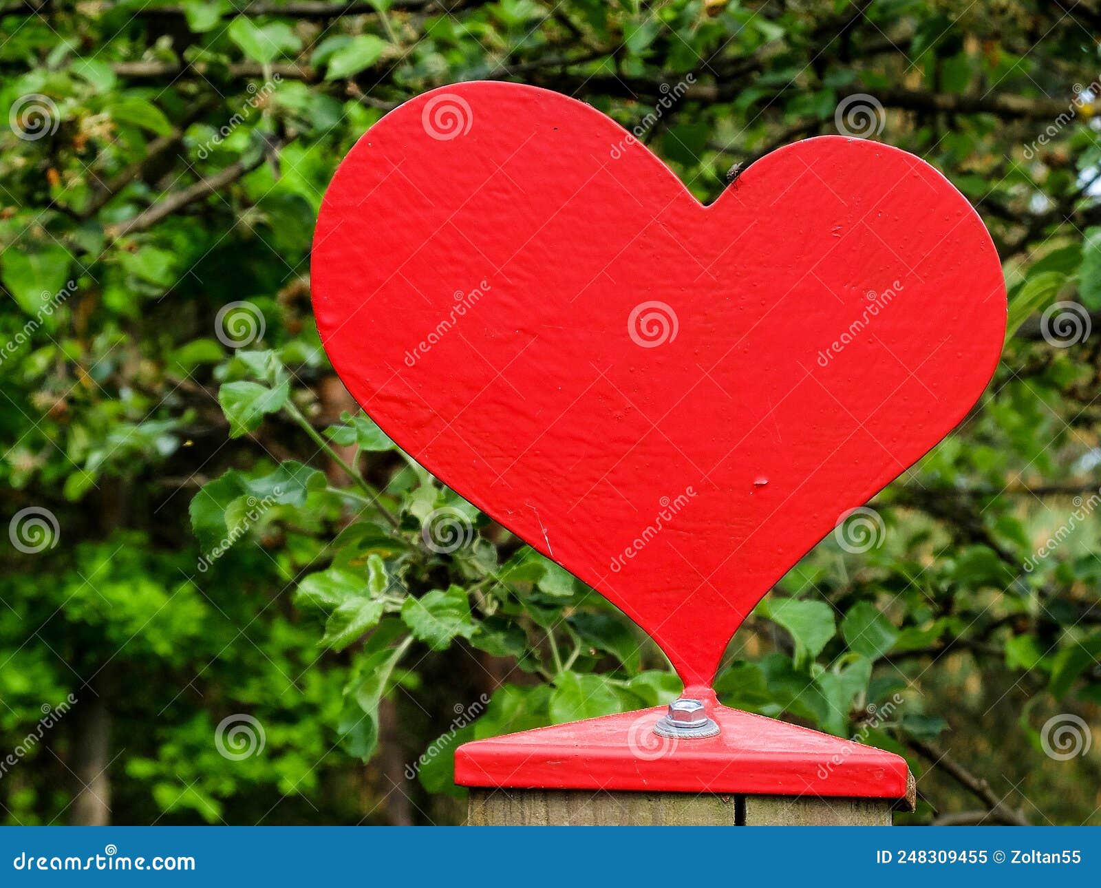 Big Red Heart With A Road Sign Function Stock Image | CartoonDealer.com ...