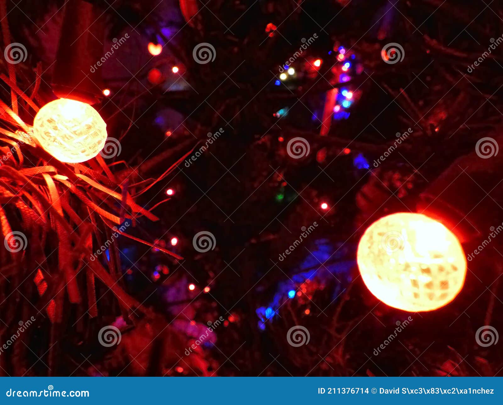 Red lights in the tree stock photo. Image of driving - 211376714