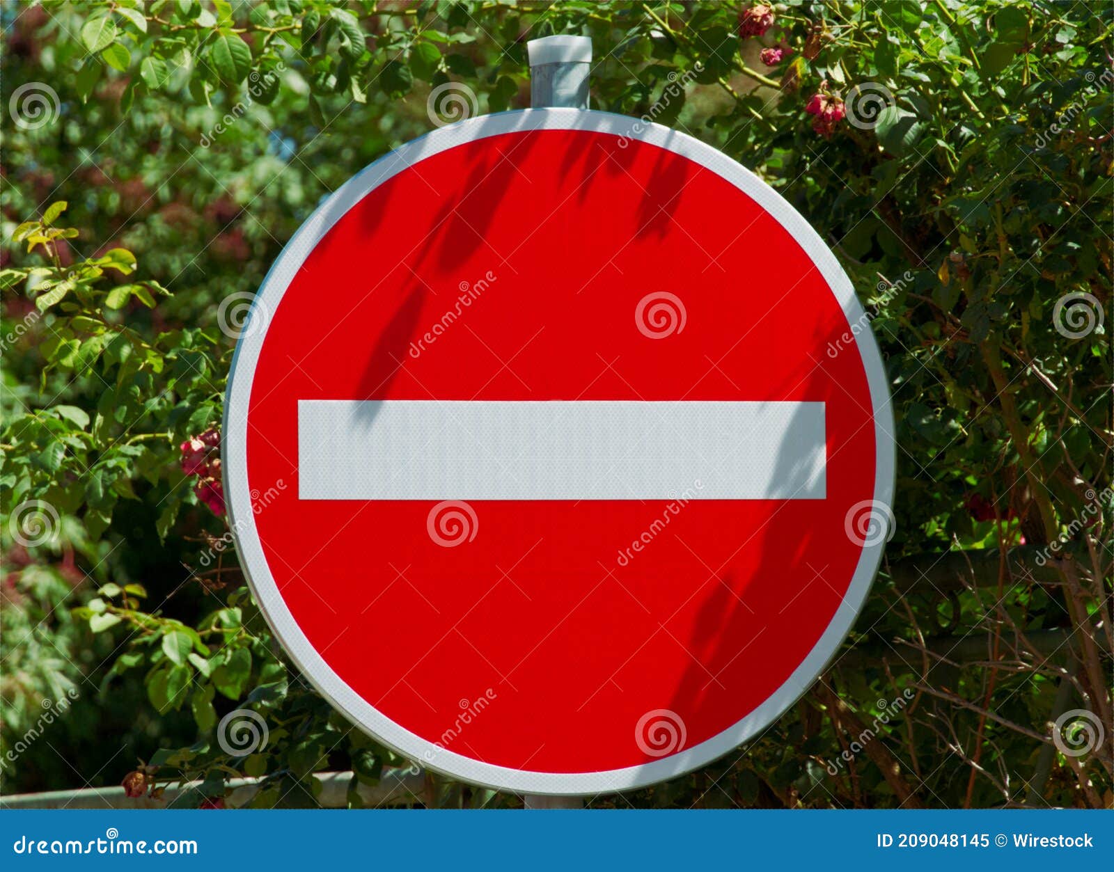 Big Red No Entry Sign on the Background of Trees Stock Image - Image of ...