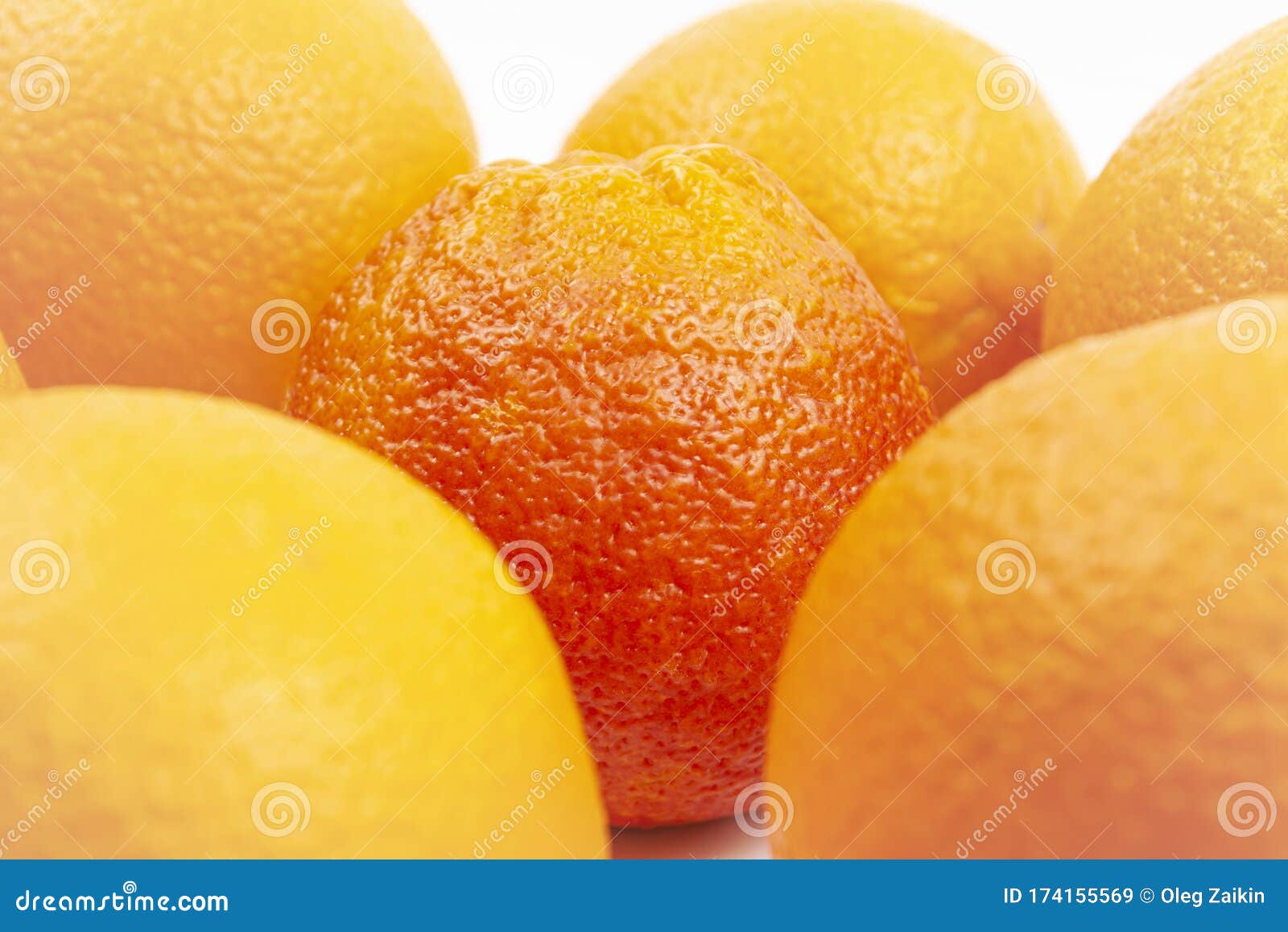 Big Red Orange among Yellow Oranges, Close Up Stock Image - Image of ...