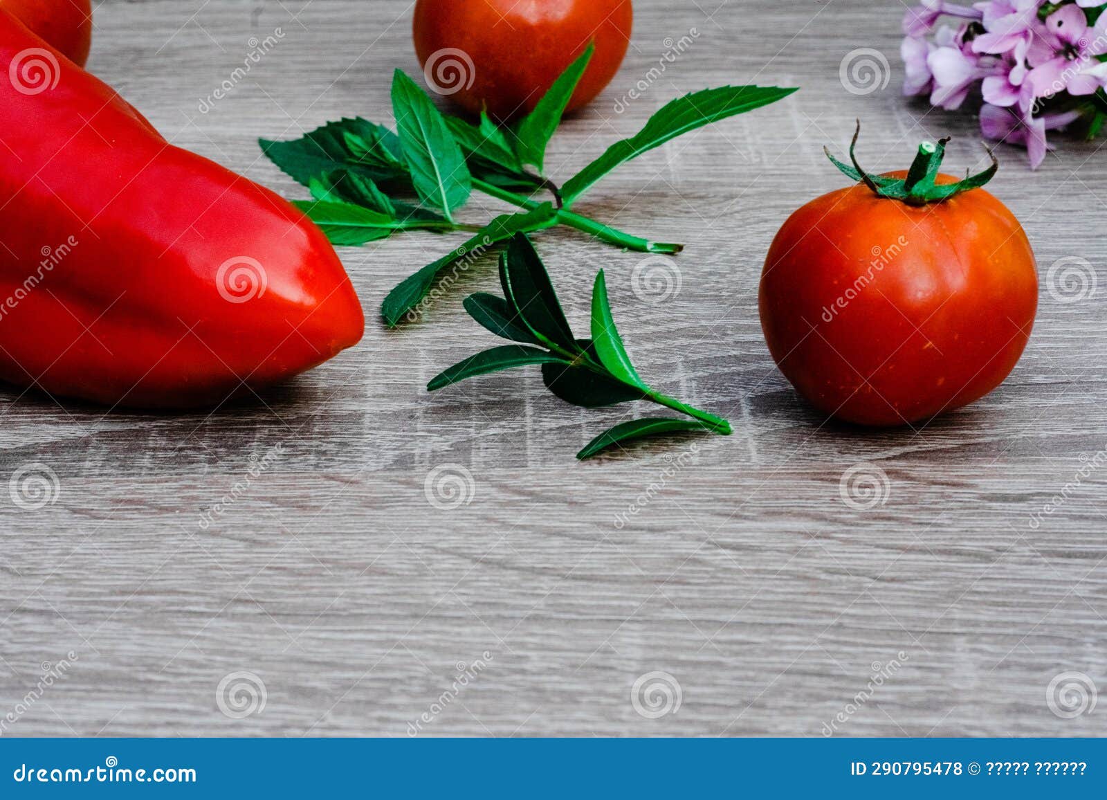 Big Red Pepper, Three Red Tomatoes and Mint, Objective Photography ...