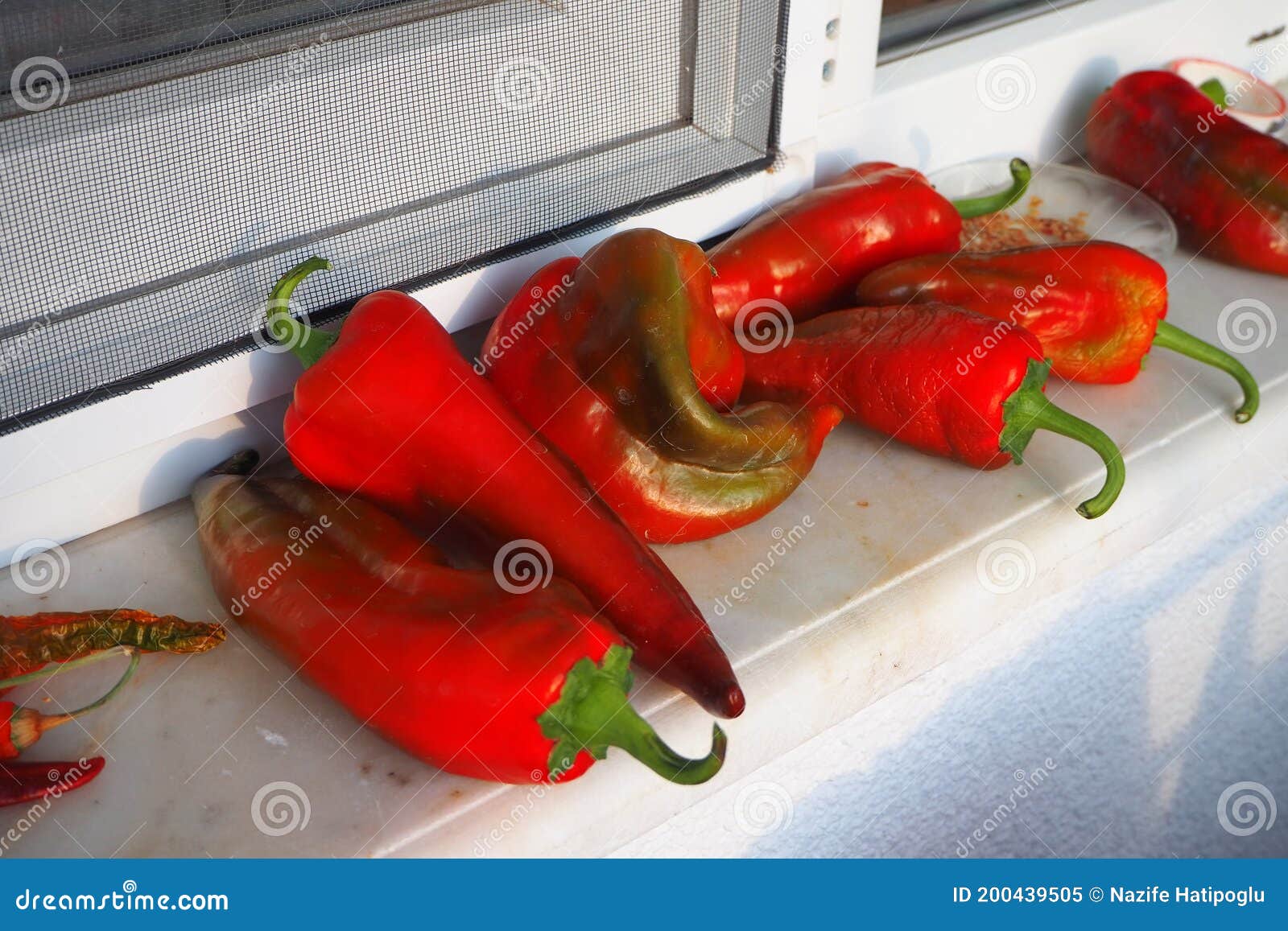 Big Red Peppers Left To Ripen in Front of the Windowsill Stock Image ...