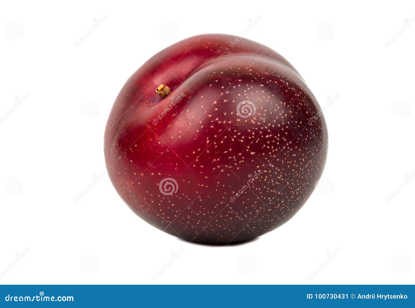 Big red plum stock image. Image of dark, clean, healthy - 100730431