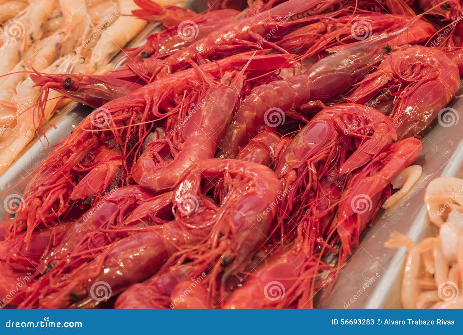 Big Red Prawns (Aristaeopsis Edwardsian) Stock Image - Image of cook ...