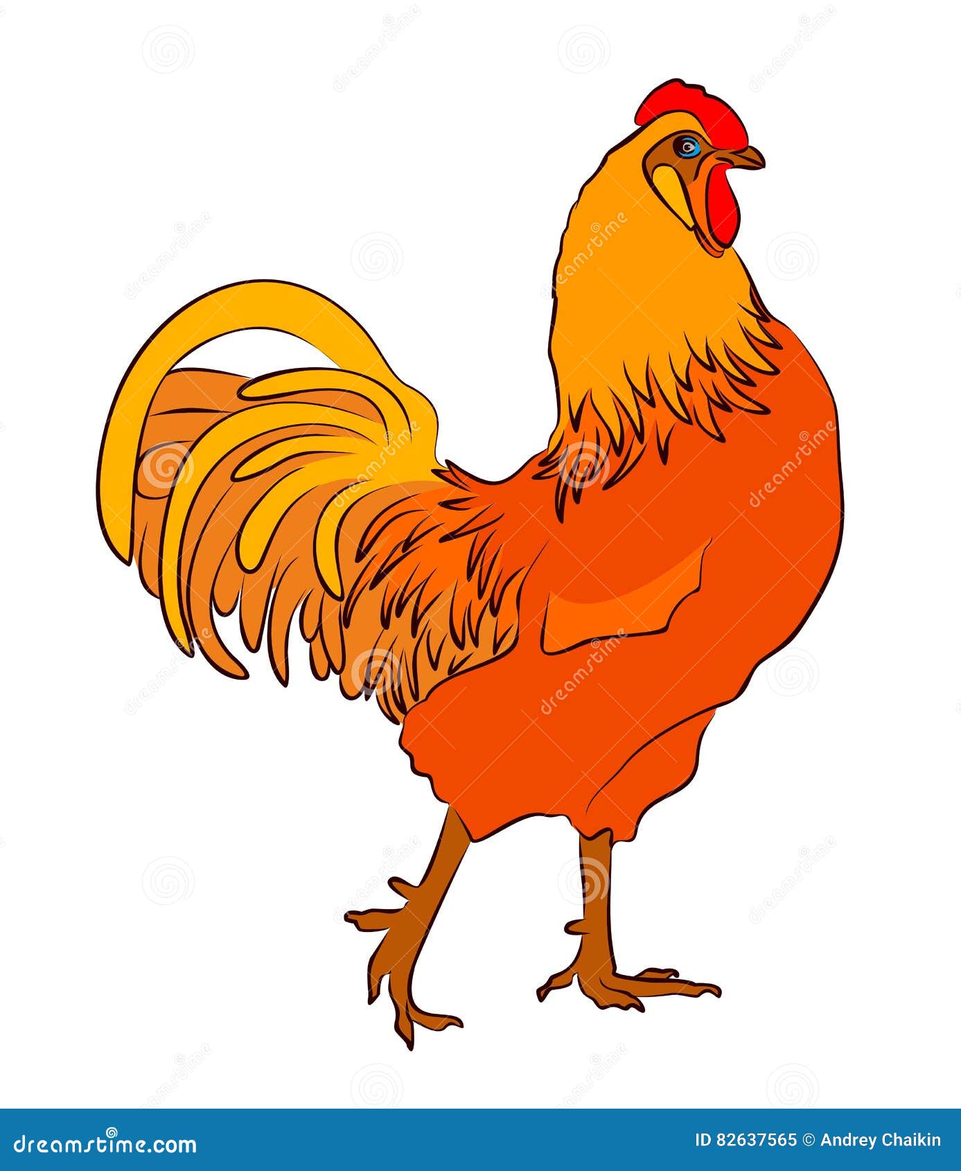 Big Red Rooster. stock vector. Illustration of fauna - 82637565