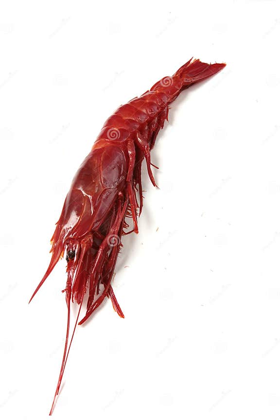 Big red shrimp stock image. Image of prawn, shellfish - 11773995