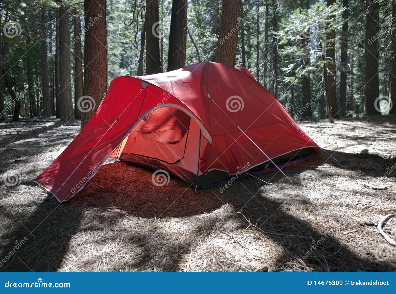 Big Red Tent stock photo. Image of tent, pine, large - 14676300