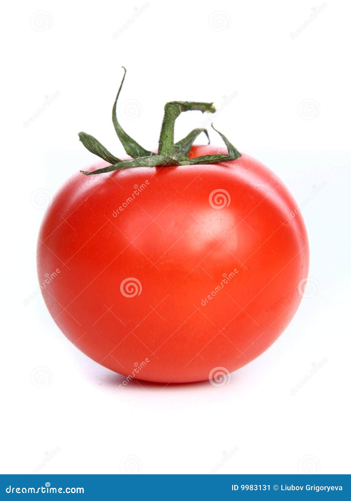 The big red tomato stock image. Image of shiny, ripe, perfection - 9983131