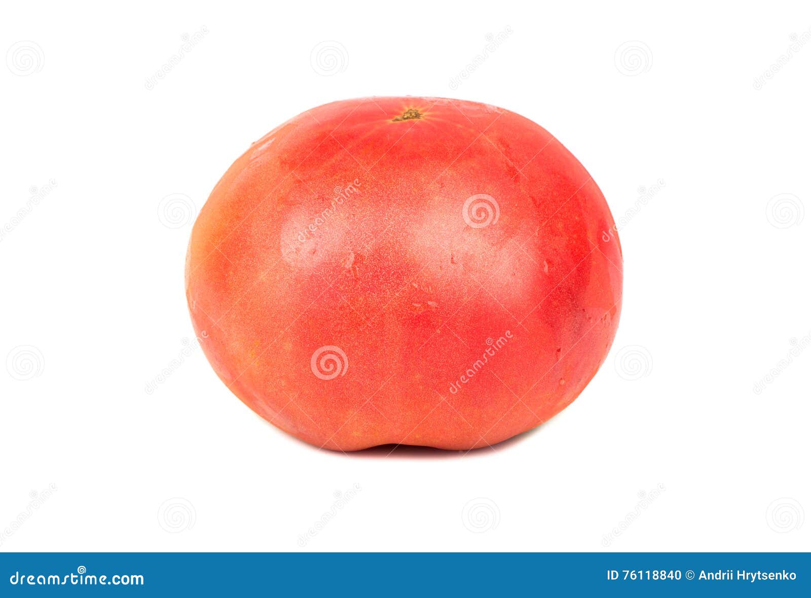 Big red tomato stock photo. Image of juicy, organic, nature - 76118840
