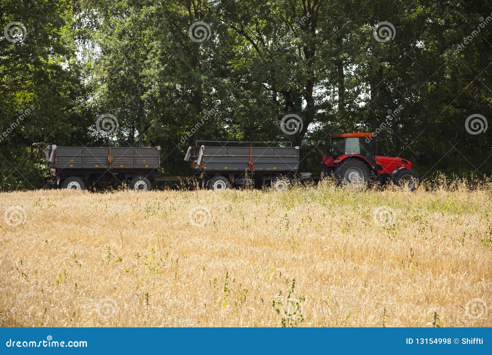 Big Red Tractor with Trailer Stock Photo - Image of nature, field: 13154998