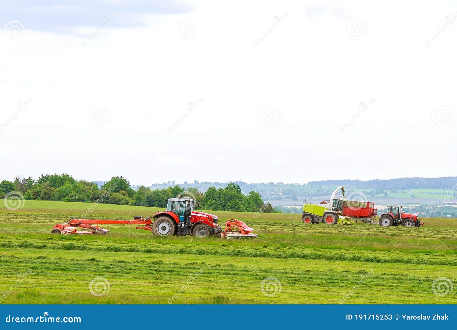 Big Red Tractor with Two Mowers Mows the Grass for Silage Editorial ...