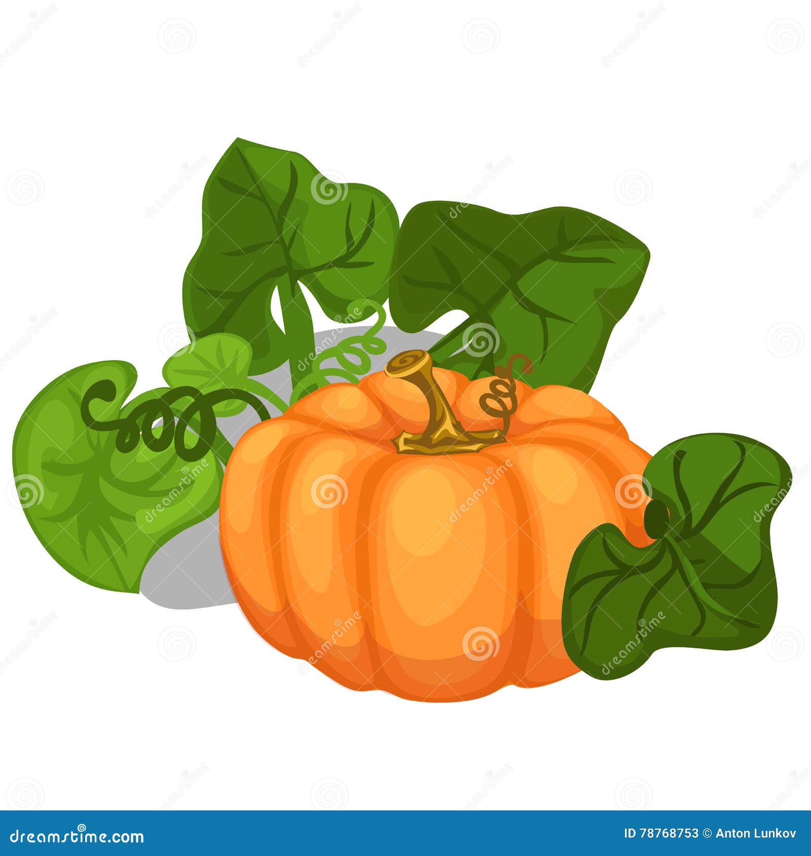 Big Ripe Pumpkin with Leaves. Vector Vegetable Stock Vector ...