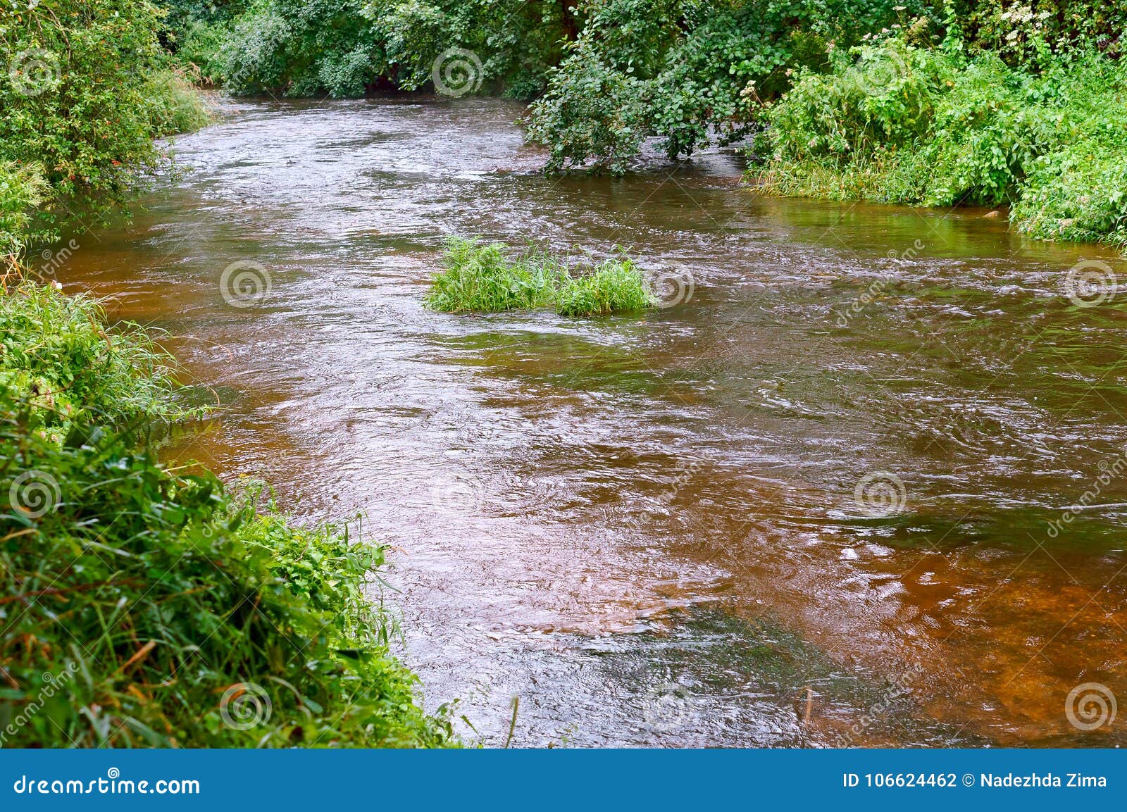 Big River, the River Flows among the Thickets Stock Photo - Image of ...