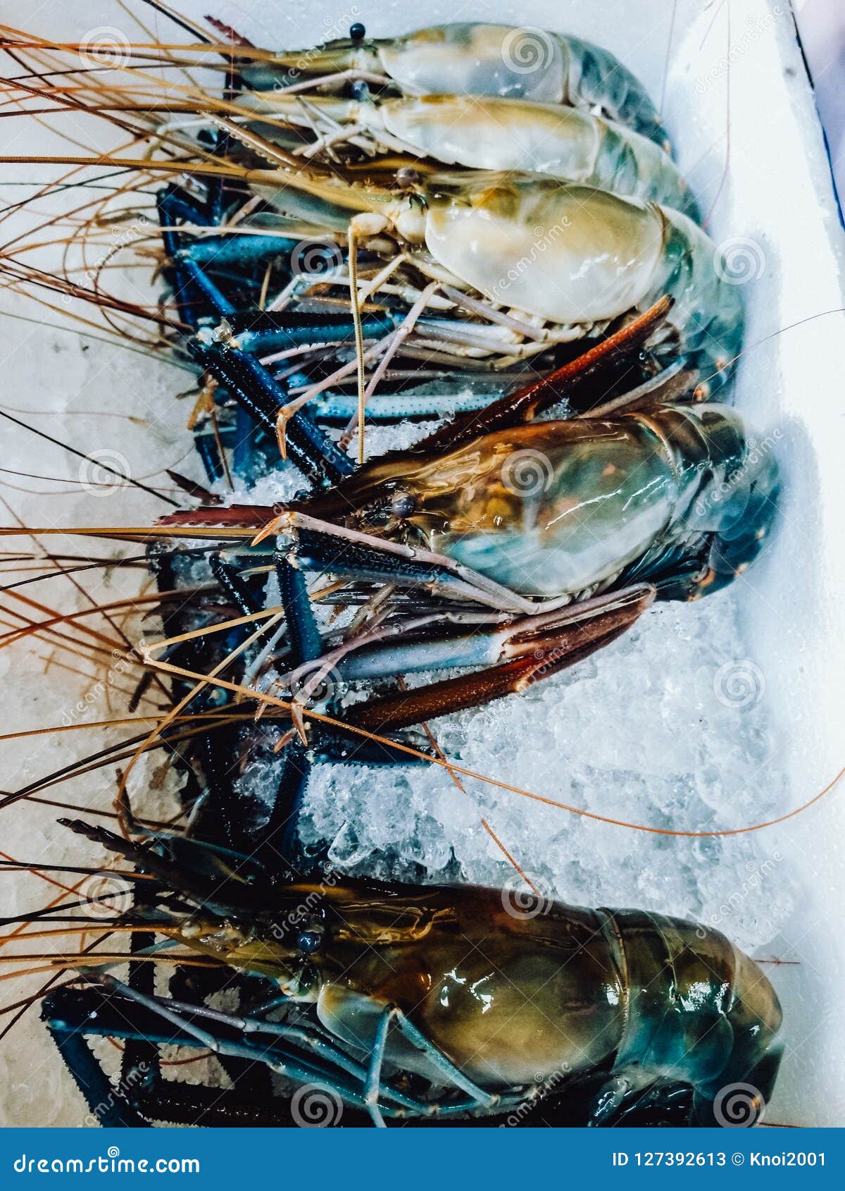 Big river shrimp stock image. Image of cooks, fresh - 127392613