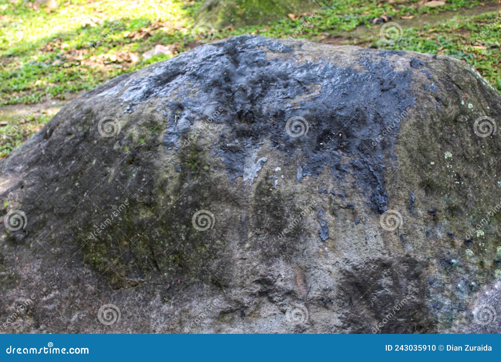 Black boulder in nature stock photo. Image of color - 243035910
