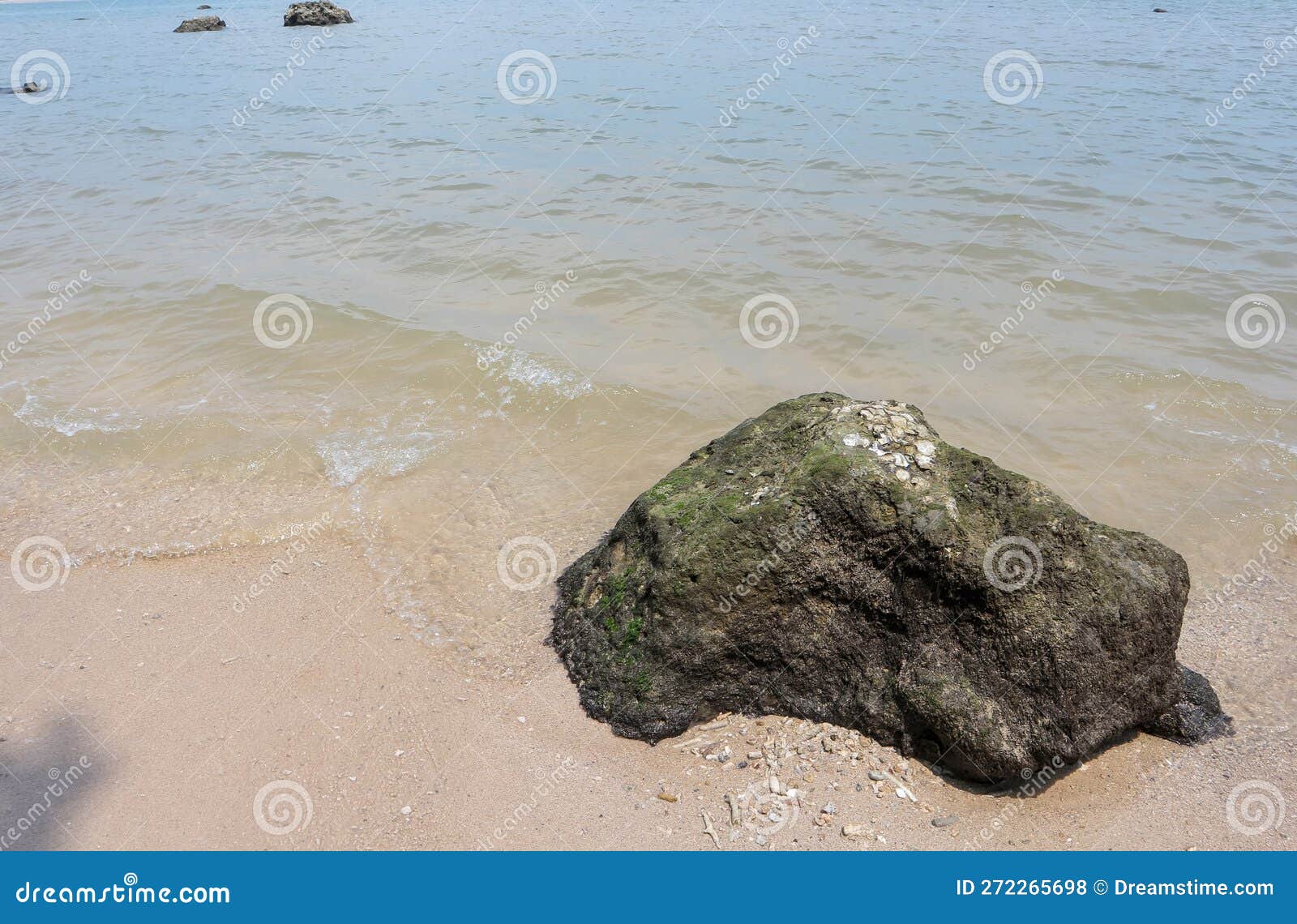 Big Rock on the Beach during the Day Stock Photo - Image of negative ...