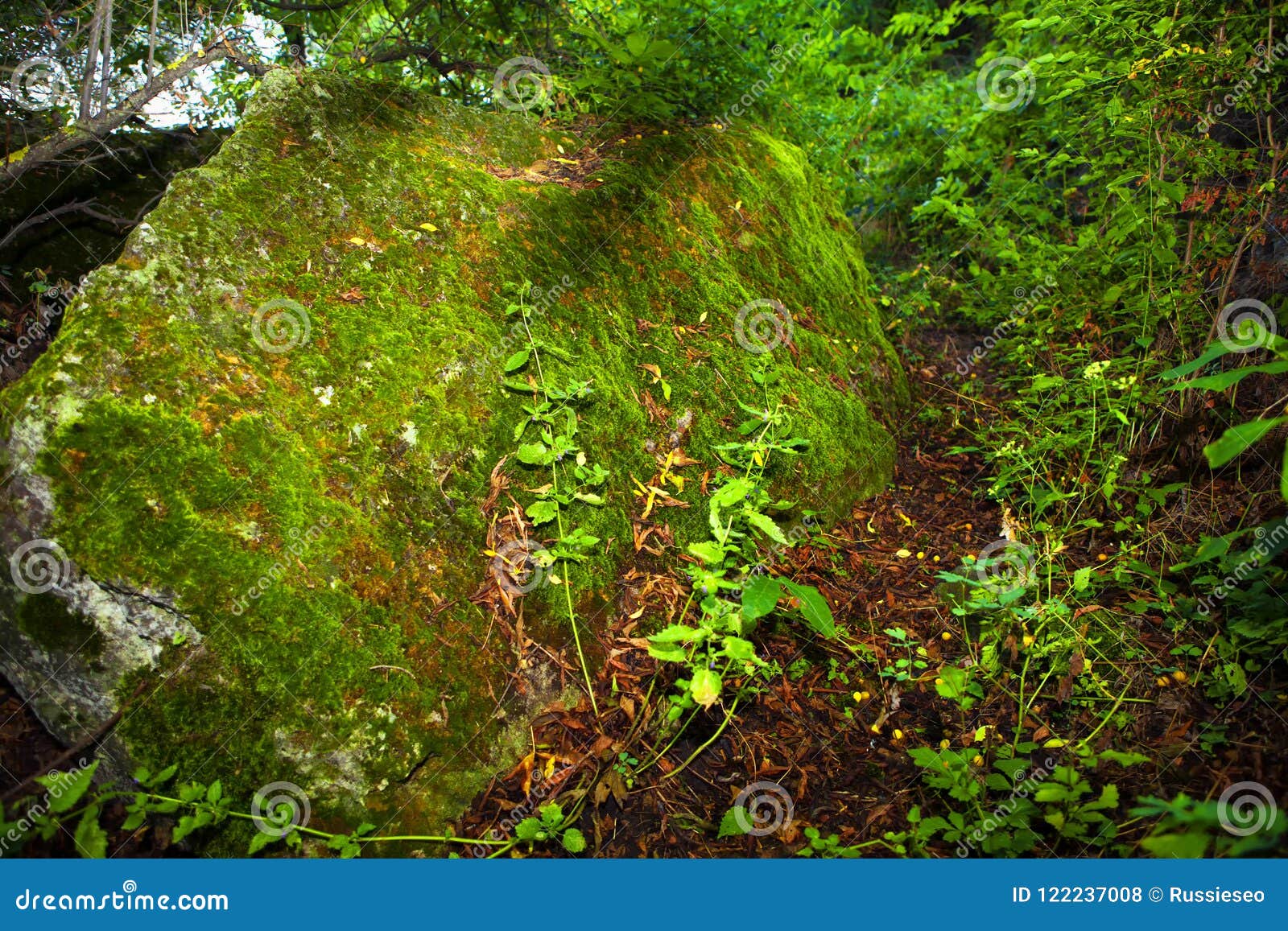 Big rock covered by moss stock photo. Image of environment - 122237008
