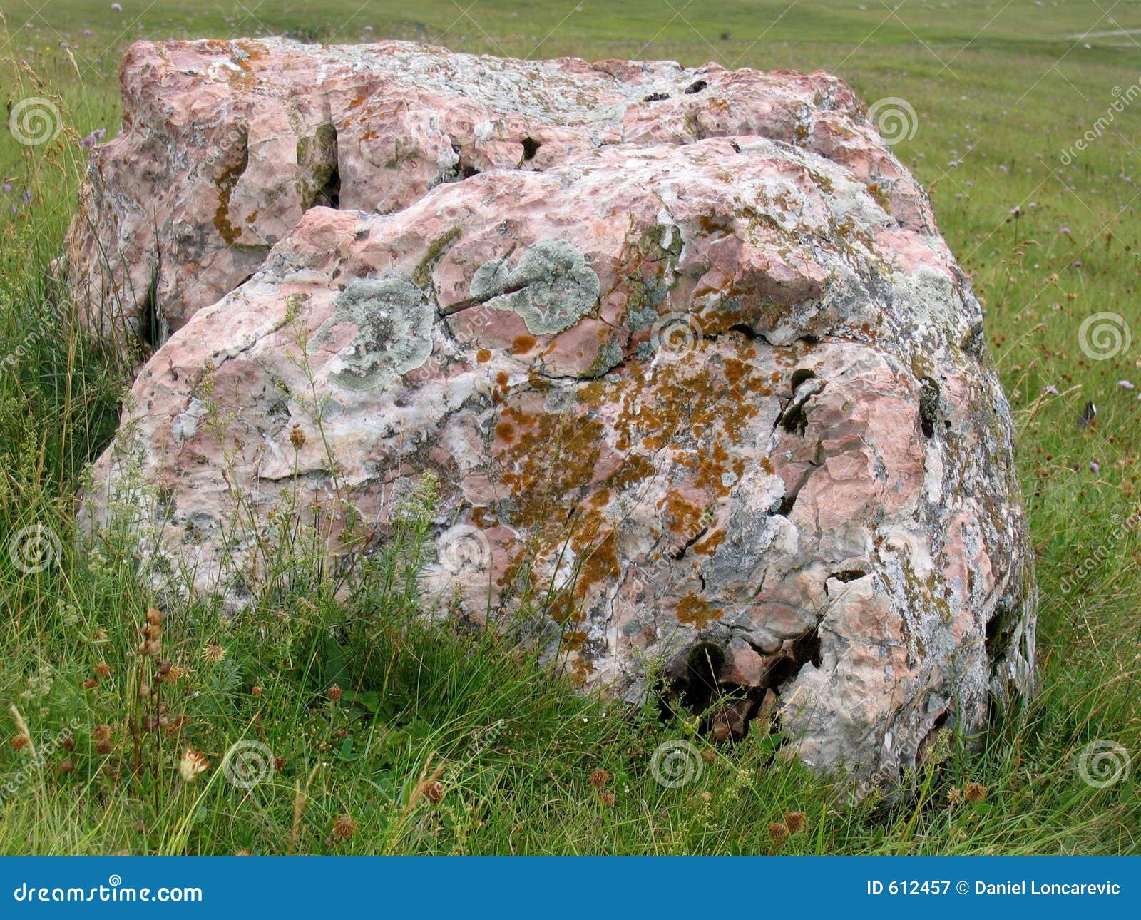 Big rock at the field stock image. Image of meadows, nature - 612457